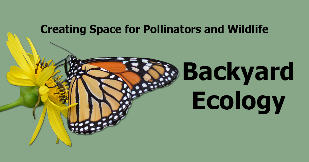 Backyard Ecology Creating Space for Pollinators and Wildlife