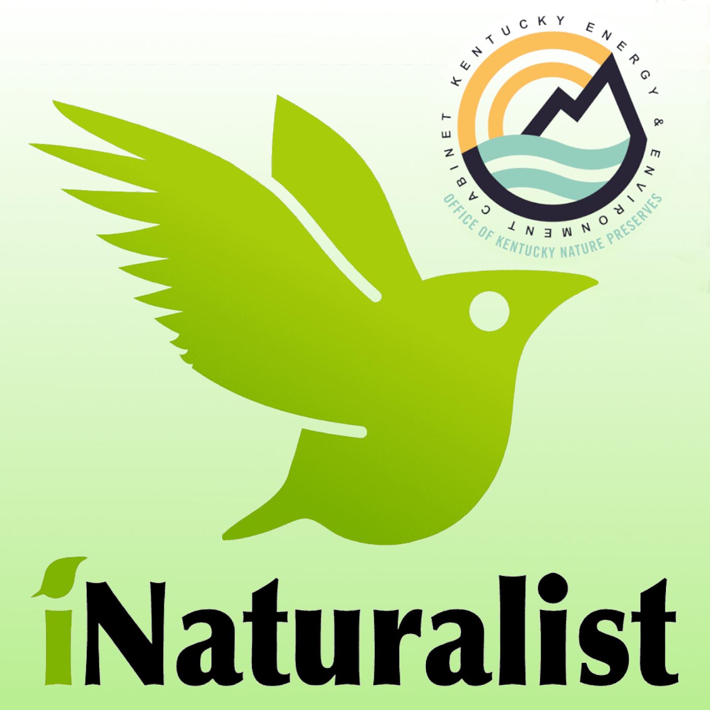 An Introduction to iNaturalist with Maddy Heredia