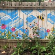 Native Clover Conservation, Clover Yards, and More