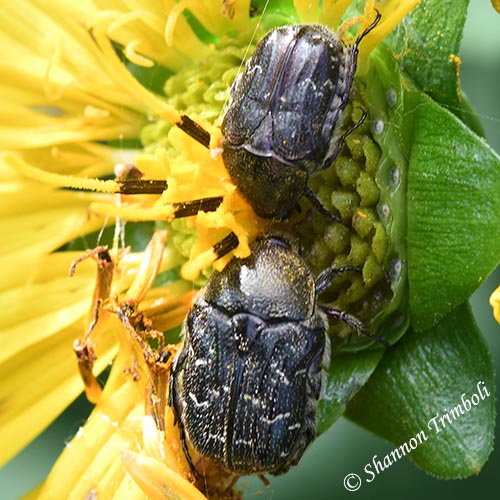 Recent Nature-related Discoveries
