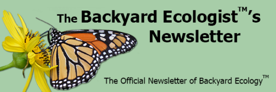 The Backyard Ecologist's Newsletter
