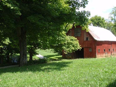 Our Story: Backyard Ecology and it hosts